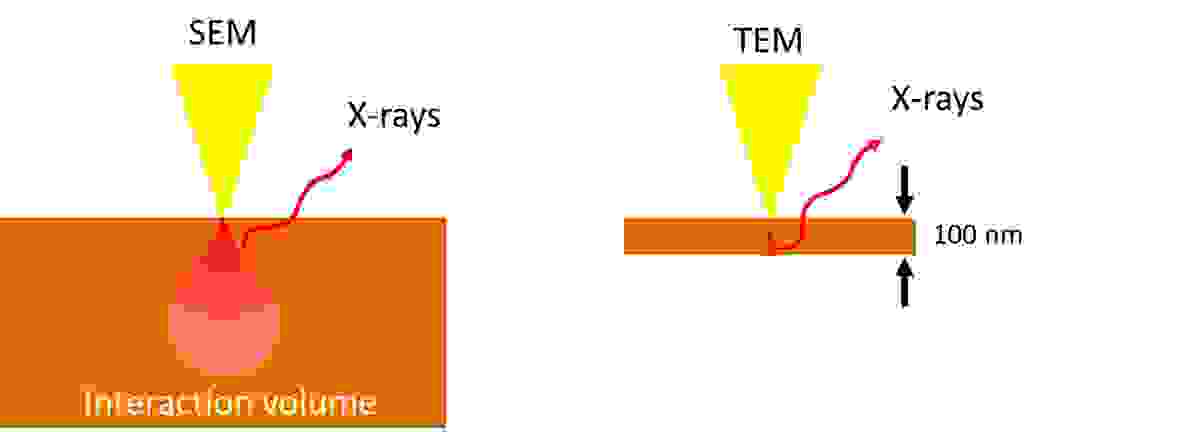 What makes TEM EDS different from SEM EDS? - Oxford Instruments What makes TEM EDS different from SEM EDS? - Oxford Instruments